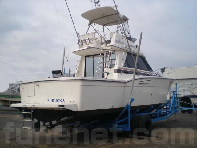 ヤマハ SF40 | 船ネット