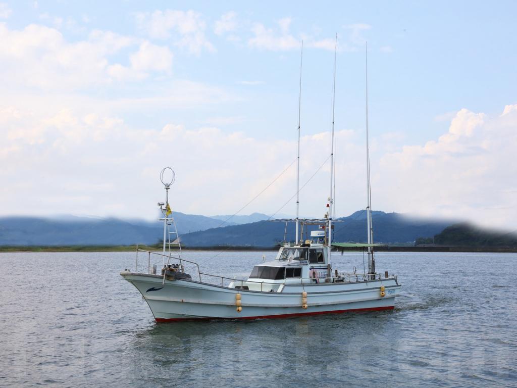 ヤンマー あらしおDE43 | 船ネット