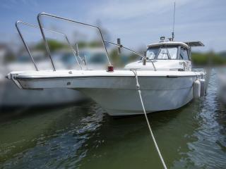 ヤマハ UF28-4 S/D | 船ネット