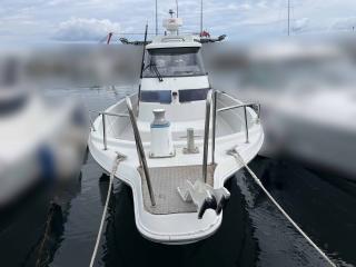 ヤンマー トップランFX26Z | 船ネット